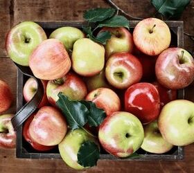 How to Preserve Apples -12 Different Ways | Simplify