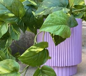3 Colorful DIY Dollar Tree Planters to Brighten Your Home | Simplify