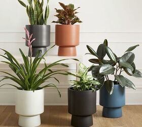 3 Colorful DIY Dollar Tree Planters to Brighten Your Home | Simplify