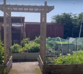 How to Create a Prepper Garden: The Best Veggies & Herbs to Grow | Simplify