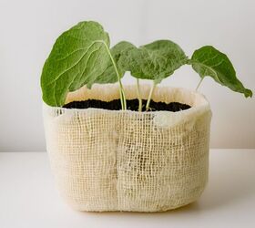 Smart and Sustainable Ways to Reuse an Old Loofah | Simplify