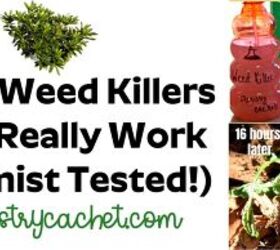 5 DIY Weed Killers That Really Work (Tested by a Chemist!) | Simplify