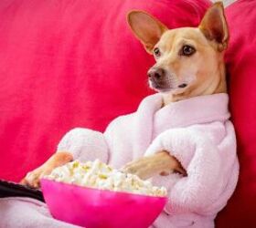 How to Stop Paying a Crazy High Cable Bill | Simplify