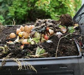 Composting in Winter Is Easier Than You Think | Simplify