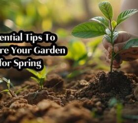 Essential Tips To Prepare Your Garden for Spring | Simplify