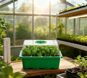 The Best Seed-Starting Kits for Beginners | Simplify